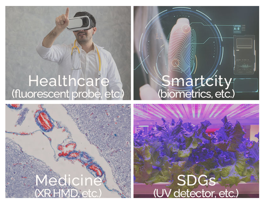 WHAT WE OFFER | OPERA Solutions Inc.